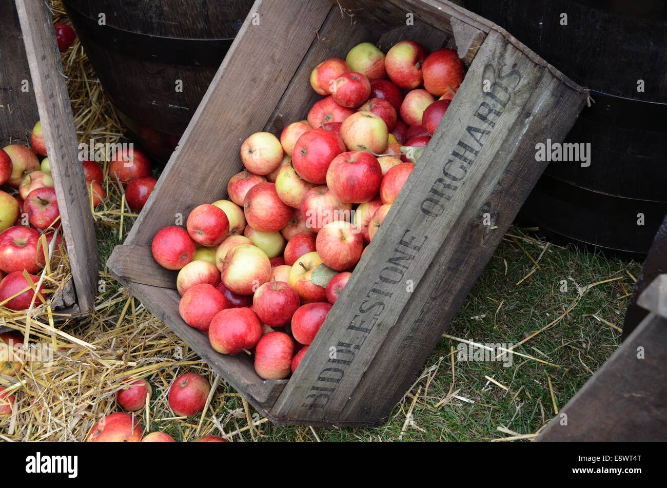 Cider apple display hi-res stock photography and images - Alamy