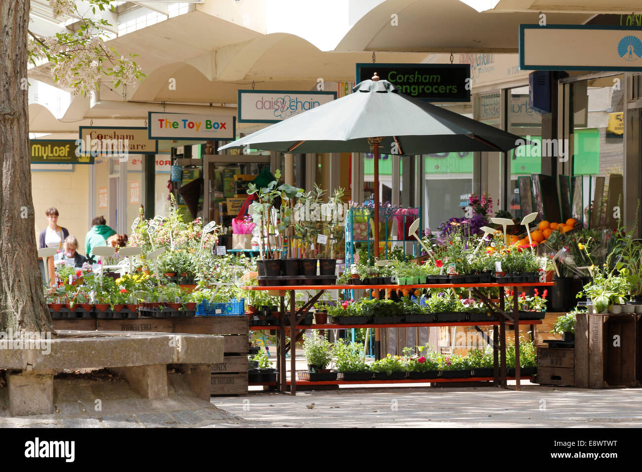 Flower stalls and shop fronts in the Coppins, Corsham, Wiltshire ...