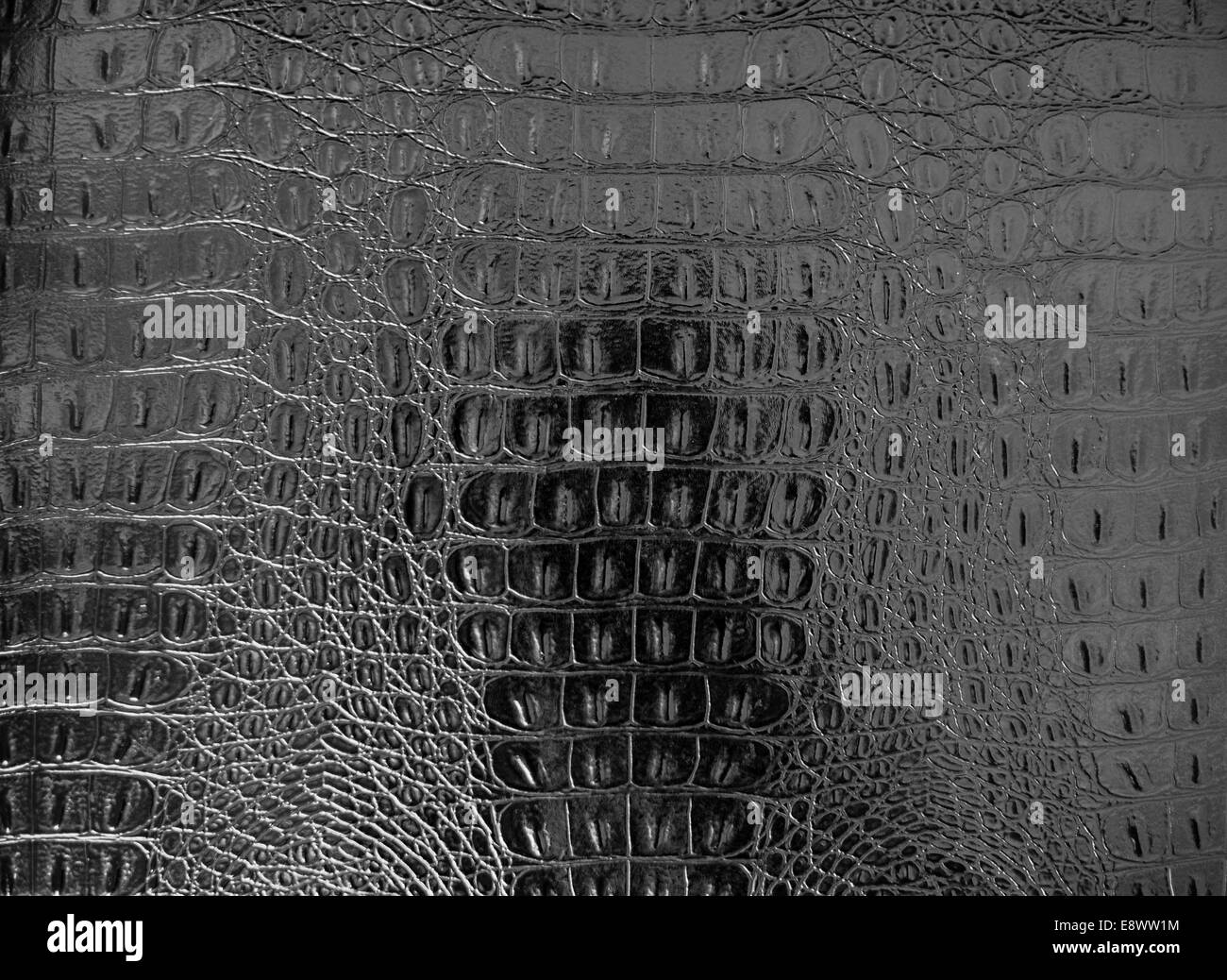 Snakeskin pattern hi-res stock photography and images - Alamy