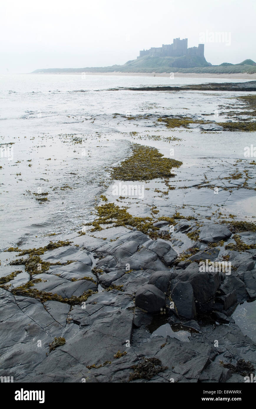 Coast looking south with the silhouette of Bamburgh Castle on the ...