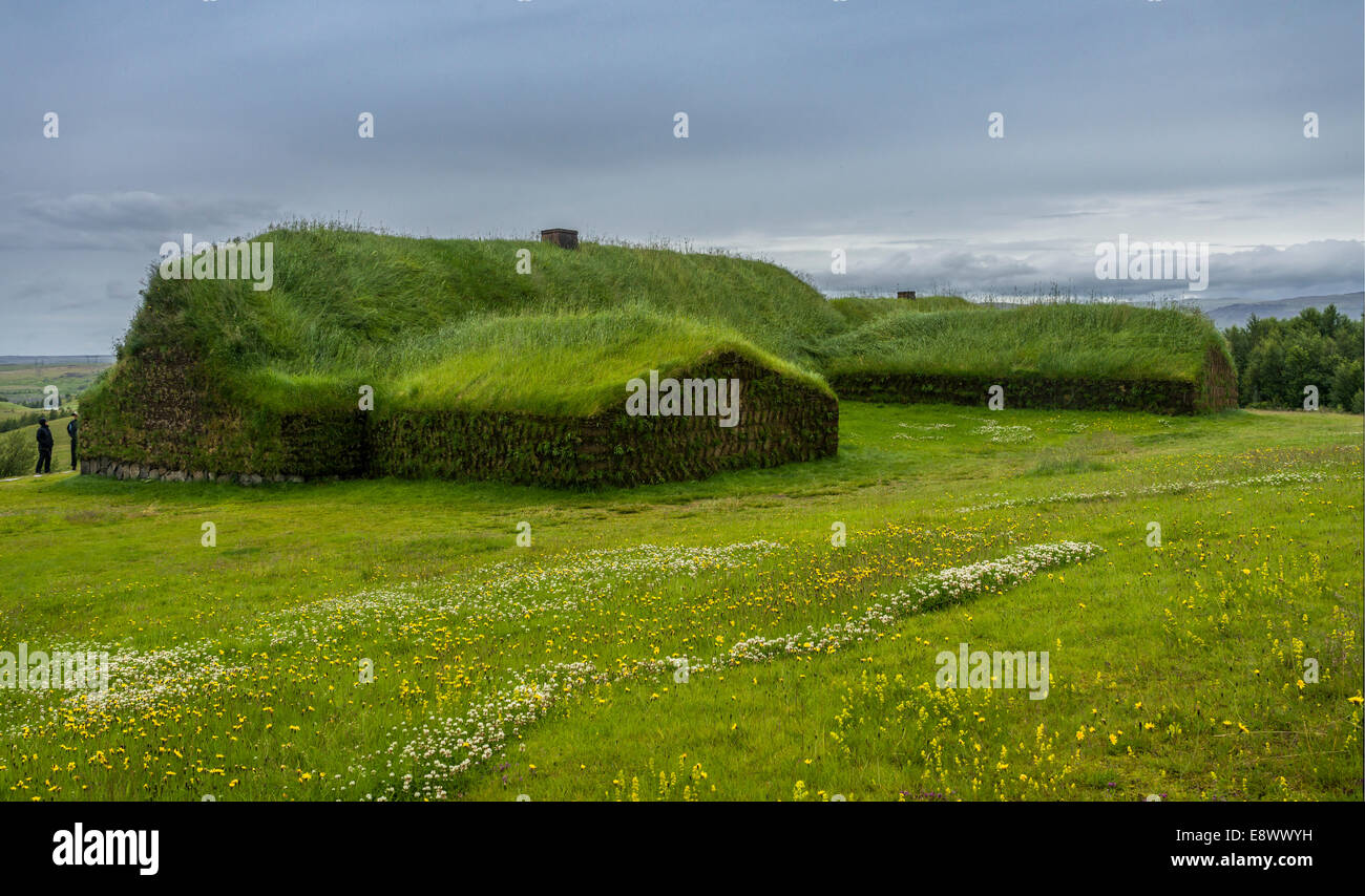 Turf farmhouse iceland hi-res stock photography and images - Alamy