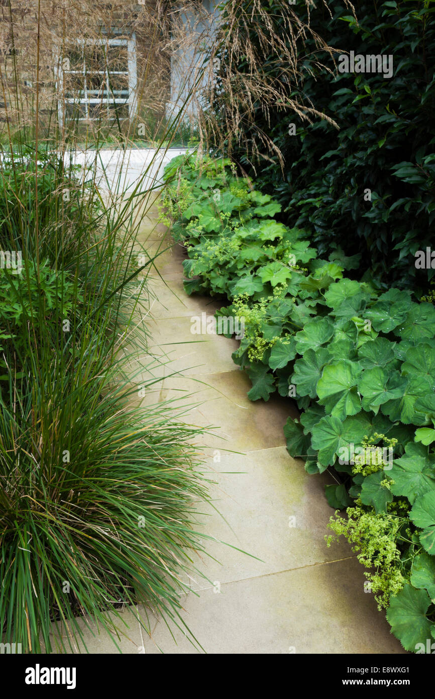 York stone paved path with ornamental grass and alchemilla mollis. Rear ...