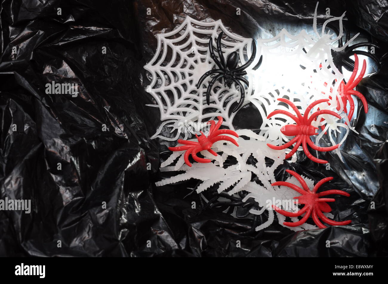 Close up Plastic spider and web for Halloween background Stock Photo ...