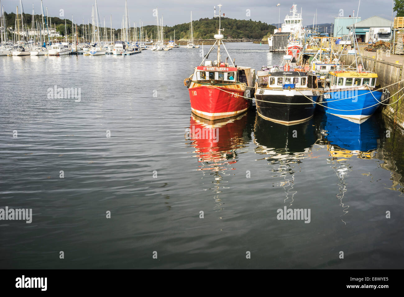 Tarbert Harbour on East Loch Tarbert in Argyll, Scotland Stock Photo ...