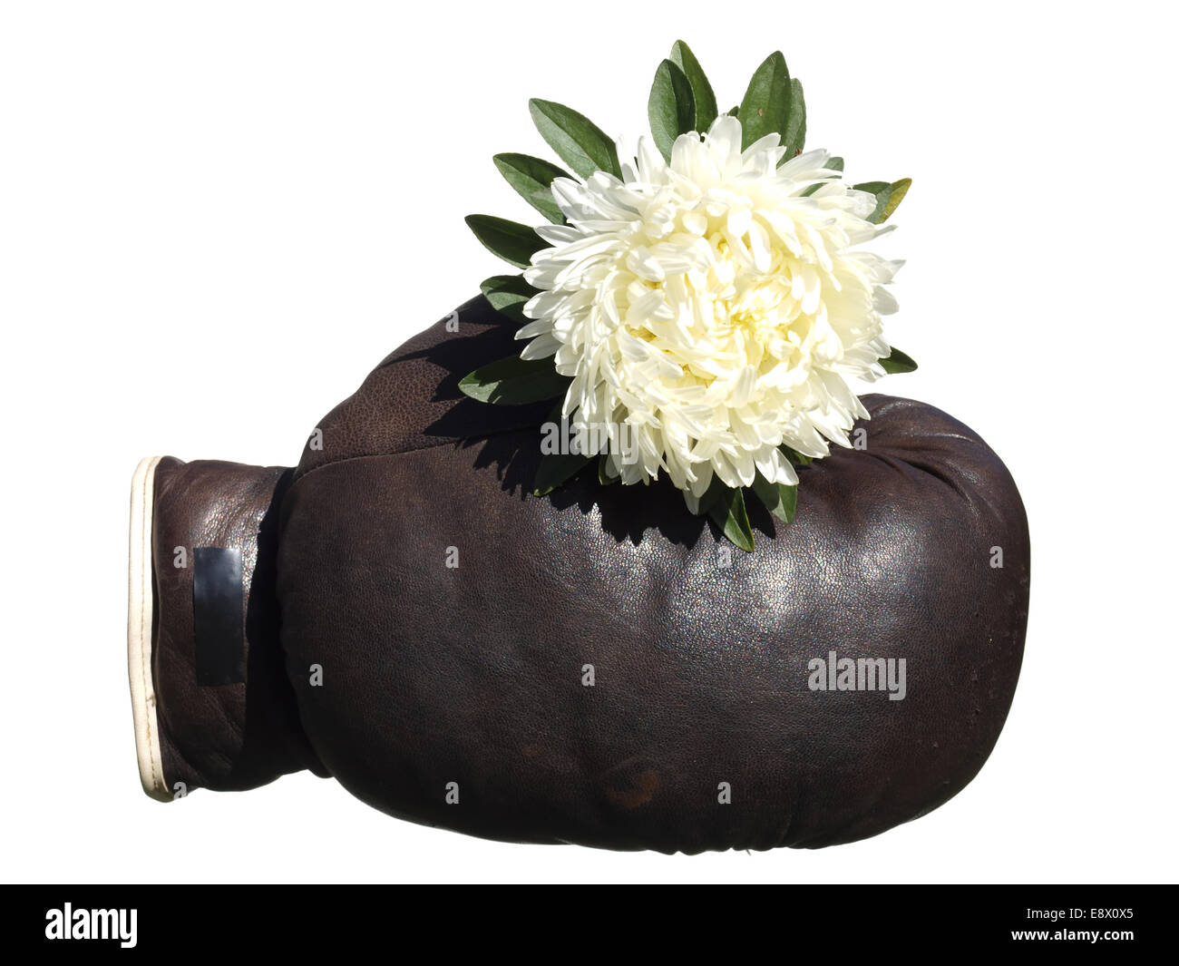 Boxing glove with flower isolated on white background Stock Photo - Alamy