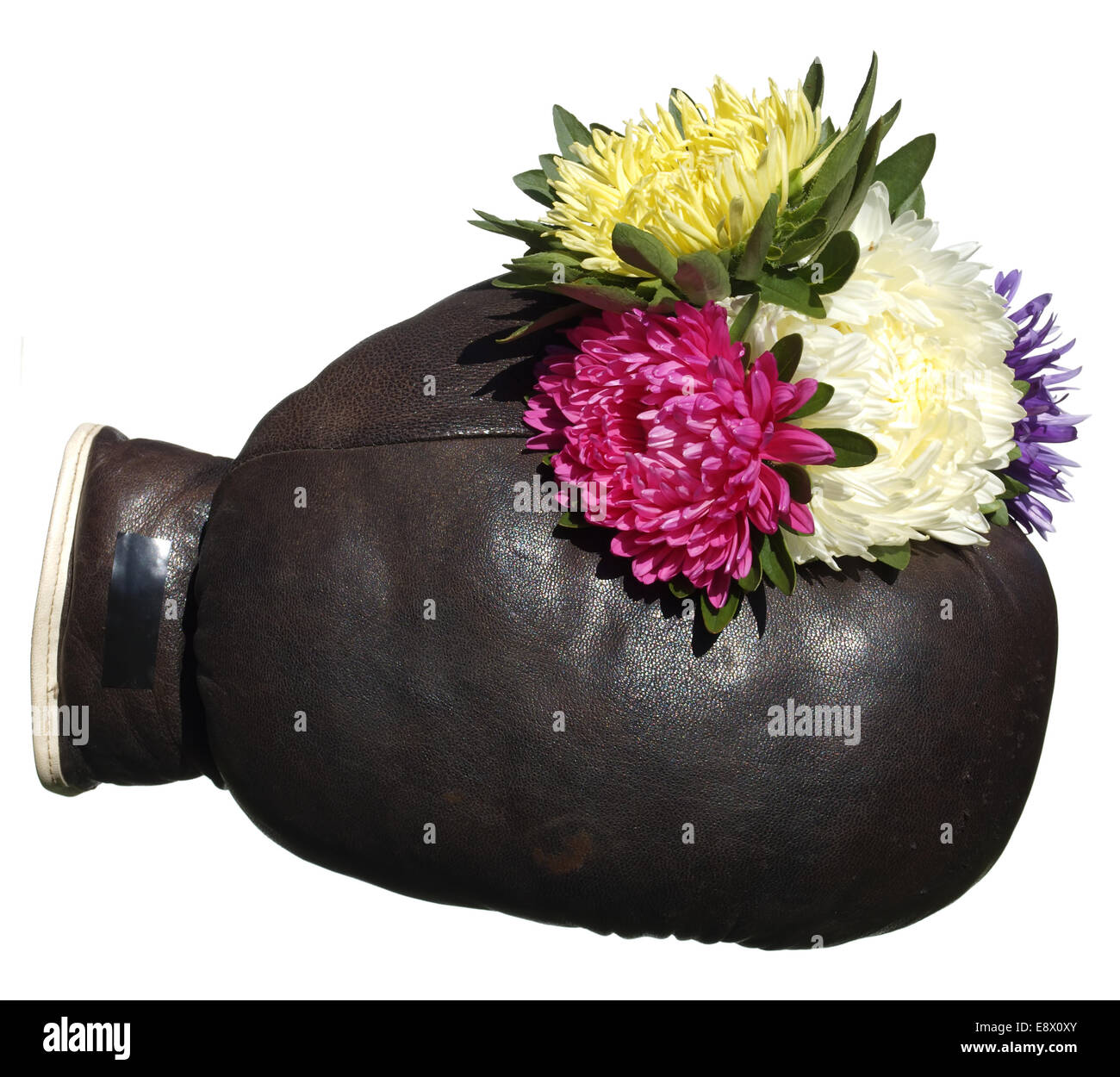 Boxing glove with a bouquet of flowers isolated on white background ...