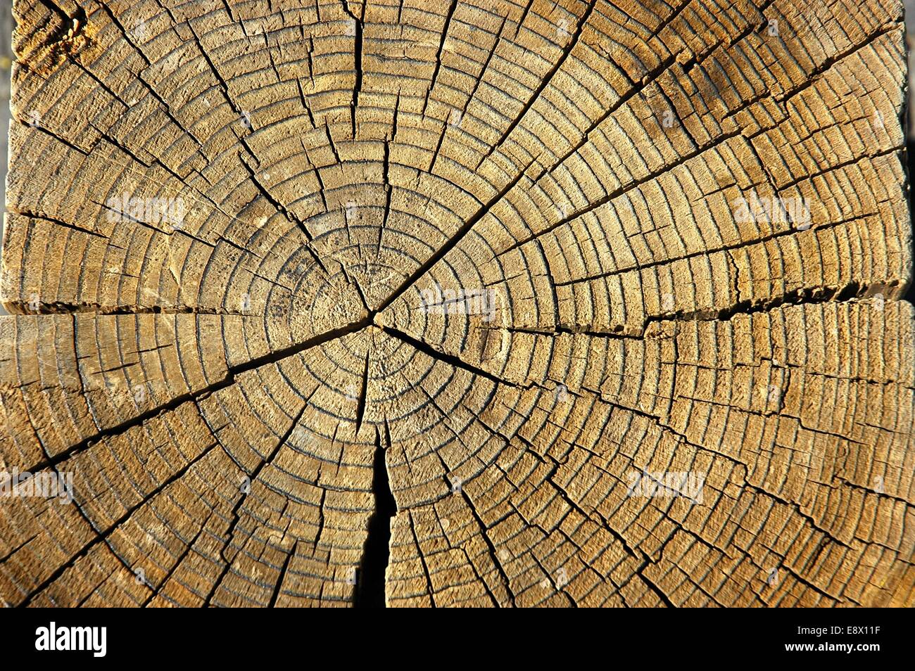Wood Circular Pattern Stock Photo - Alamy
