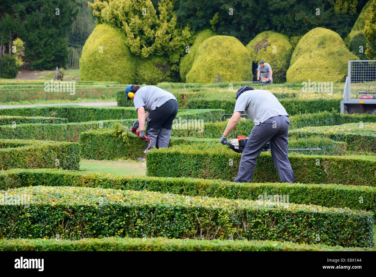 Hedge cutters at work, Elvaston Hall, Derbyshire, England Stock Photo ...