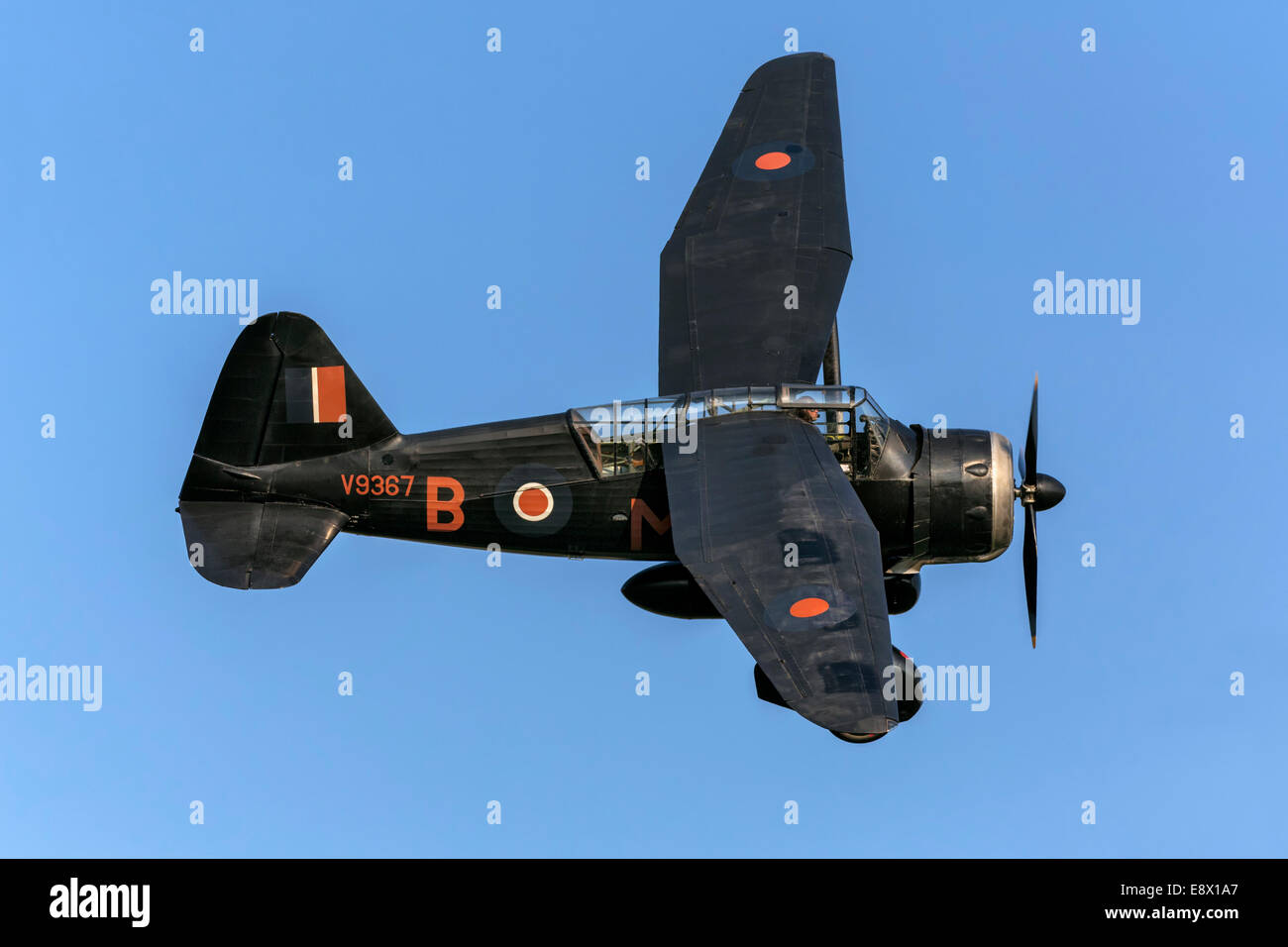 Westland lysander aircraft hi-res stock photography and images - Alamy