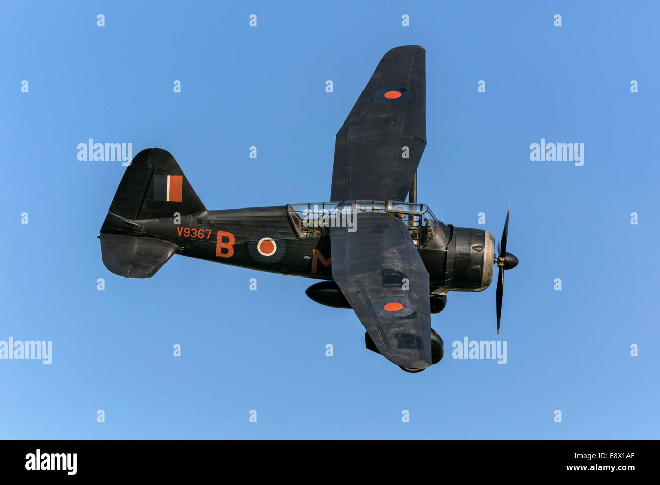 Westland lysander aircraft hi-res stock photography and images - Alamy