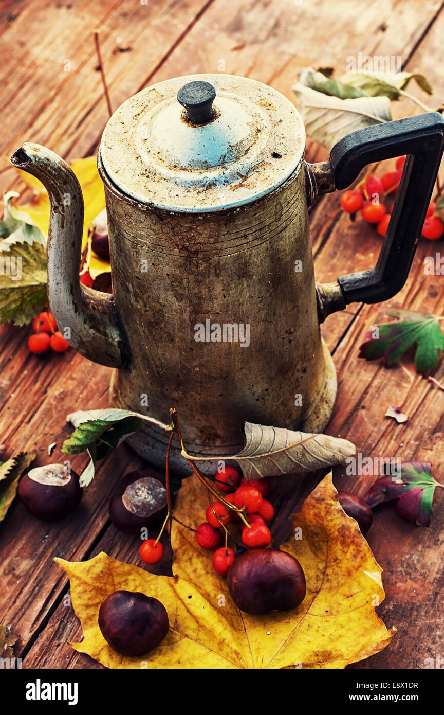 Chestnuts autumnal fallen yellow hi-res stock photography and images ...