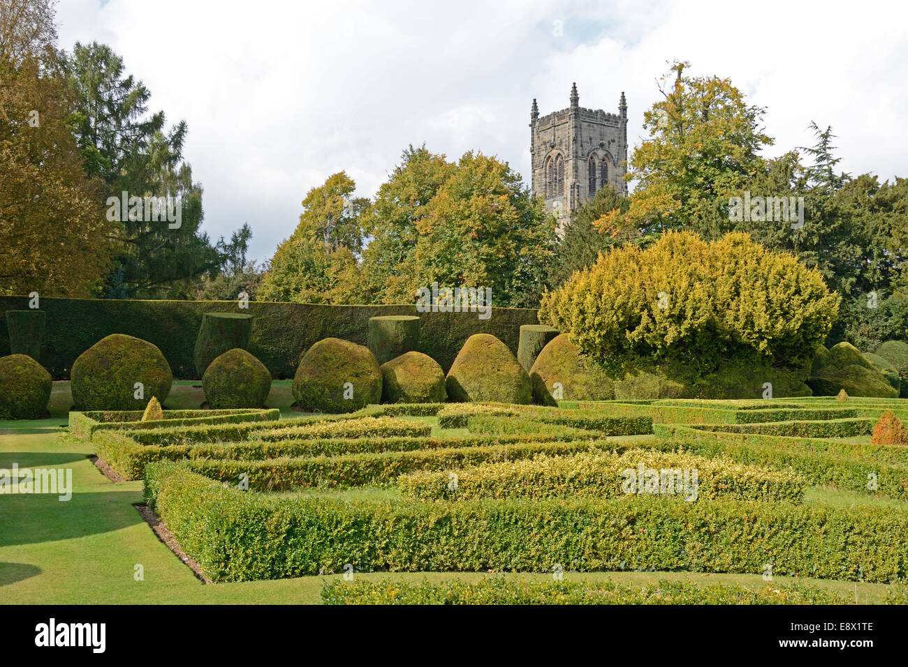 Shaped hedges at Elvaston Hall Stock Photo - Alamy
