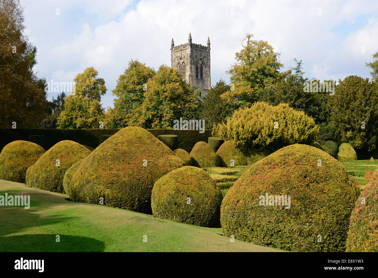 Shaped hedges at Elvaston Hall Stock Photo - Alamy