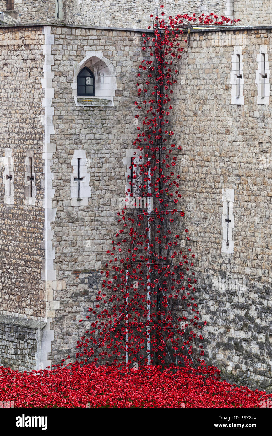 Ceramic Poppies Appear to be Pouring out of Tower of London in to Moat ...