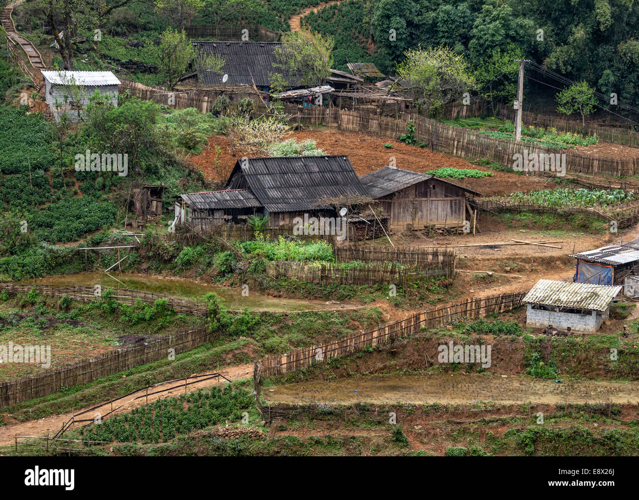 Hmong farmer's house with veggie gardens Stock Photo - Alamy