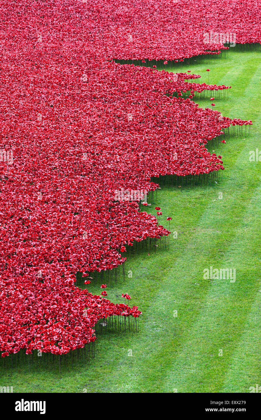 Cut lawn edge hi-res stock photography and images - Alamy