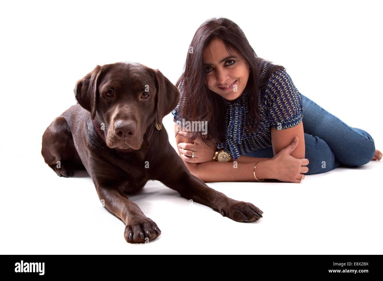 Indian labrador Cut Out Stock Images & Pictures - Alamy