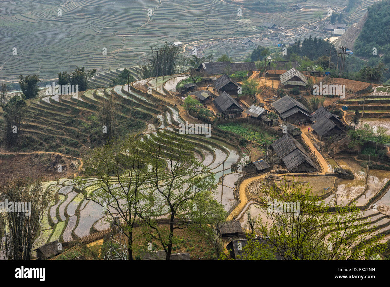 Couple of Hmong farms on hill surrounded by submerged rice paddies in ...