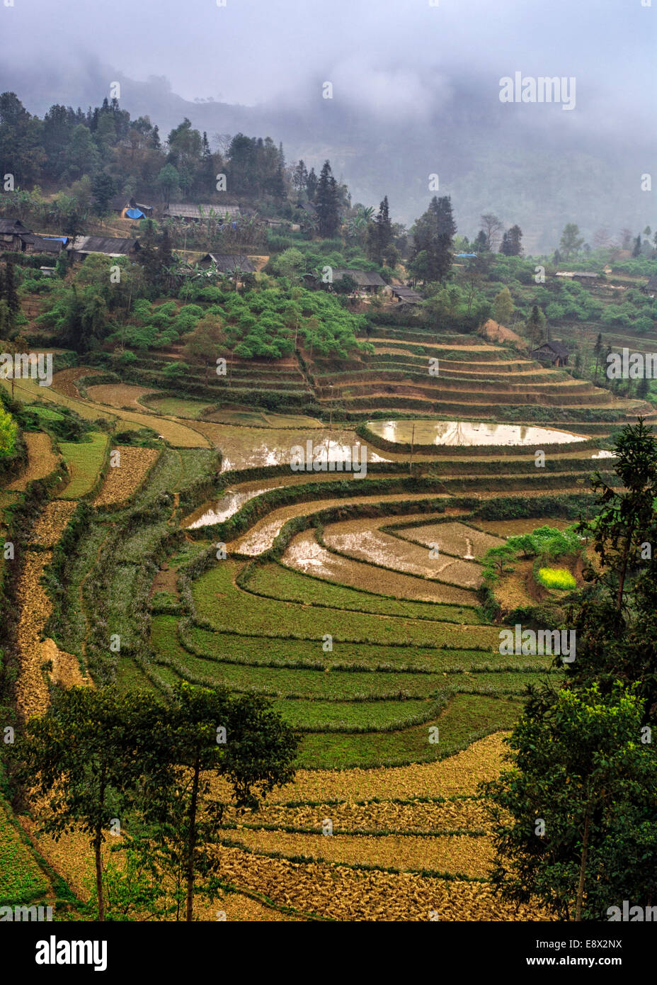 Work in the rice paddies hi-res stock photography and images - Alamy