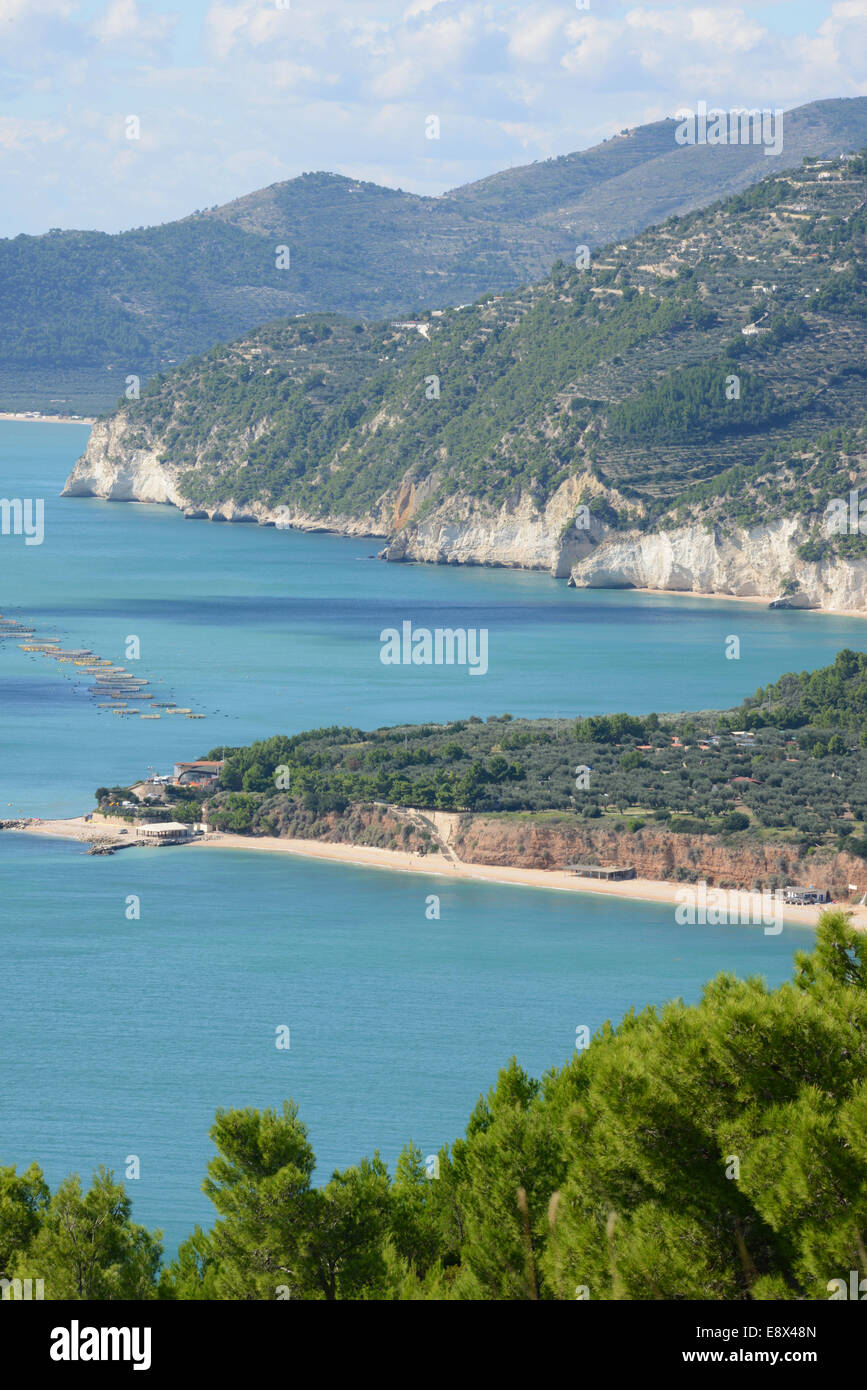 Coastline of the Gargano peninsula, Puglia, Italy Stock Photo - Alamy