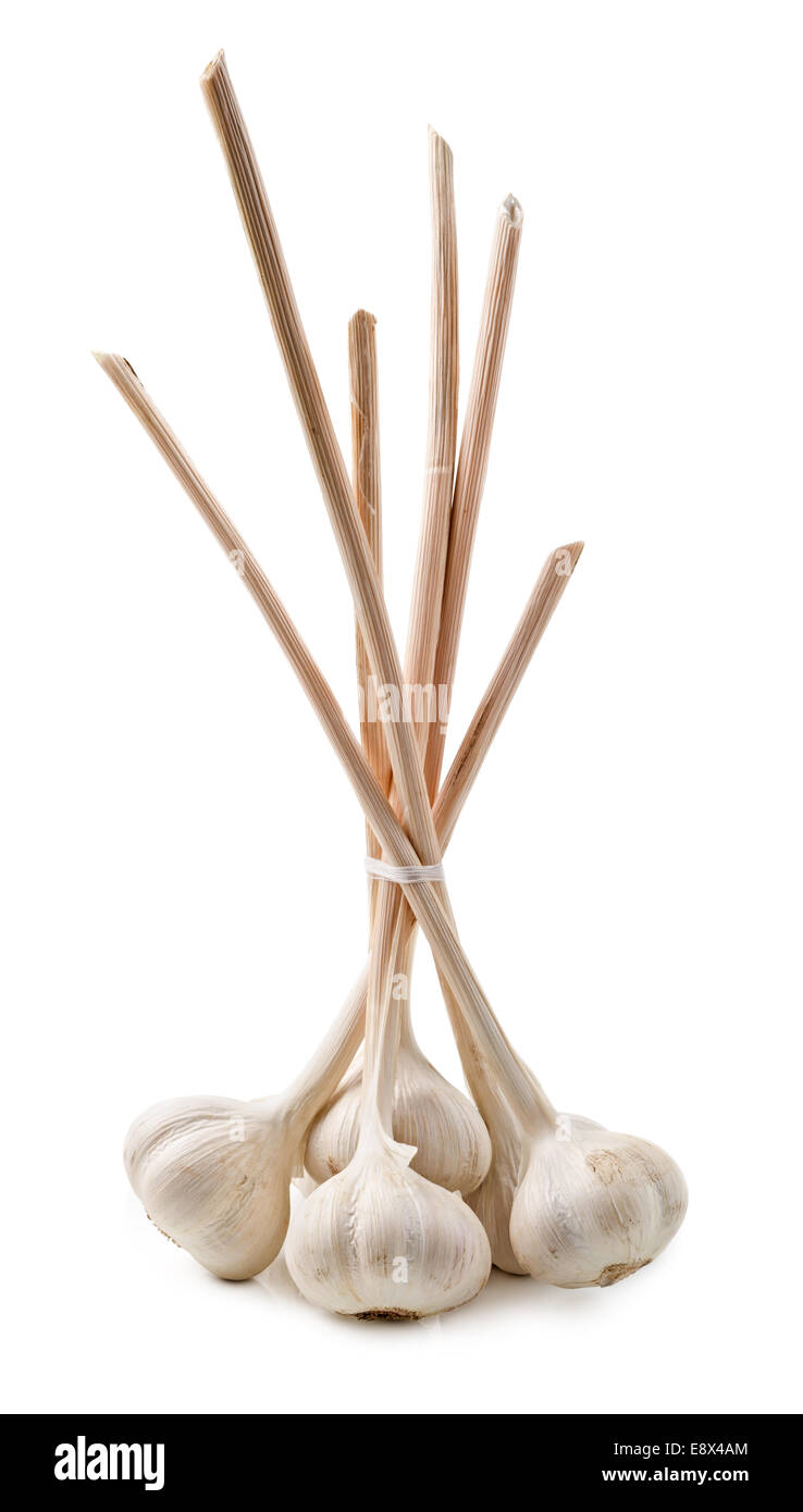 Garlic isolated on white background Stock Photo - Alamy