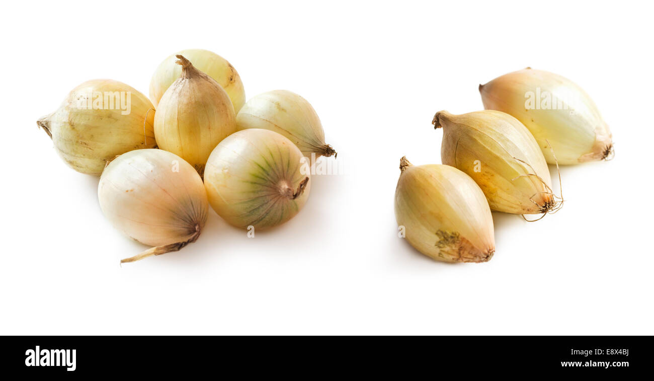 Fresh yellow onions isolated on white background Stock Photo - Alamy