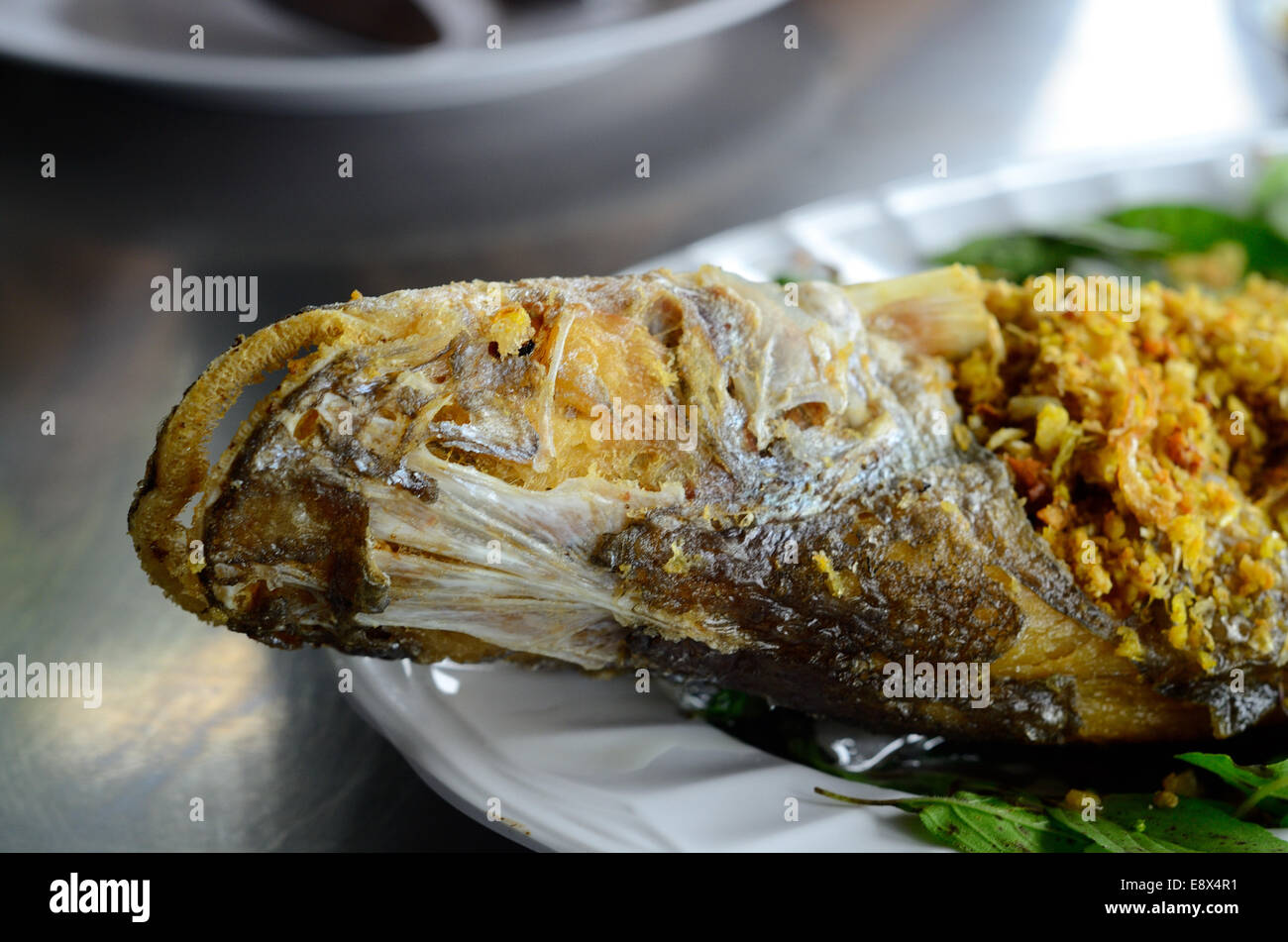 Sheatfish hi-res stock photography and images - Alamy