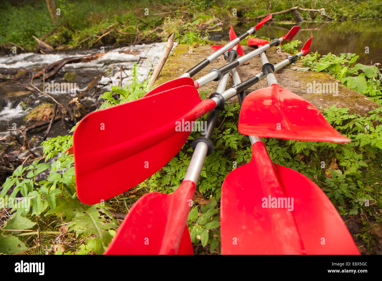 A group of young kayakers. Bystrzyca river Kayaking expedition. Poland ...