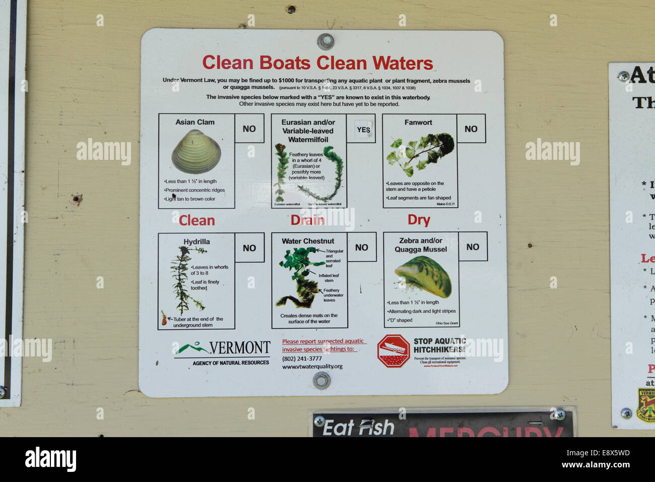 Warning sign about invasive species at a Vermont lake ecosystem Stock ...