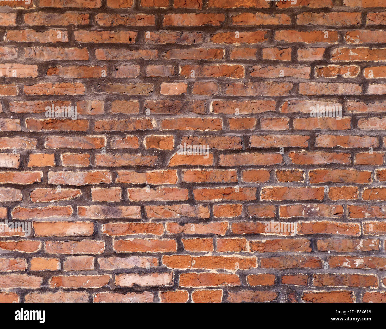 Building a solid brick wall hi-res stock photography and images - Alamy