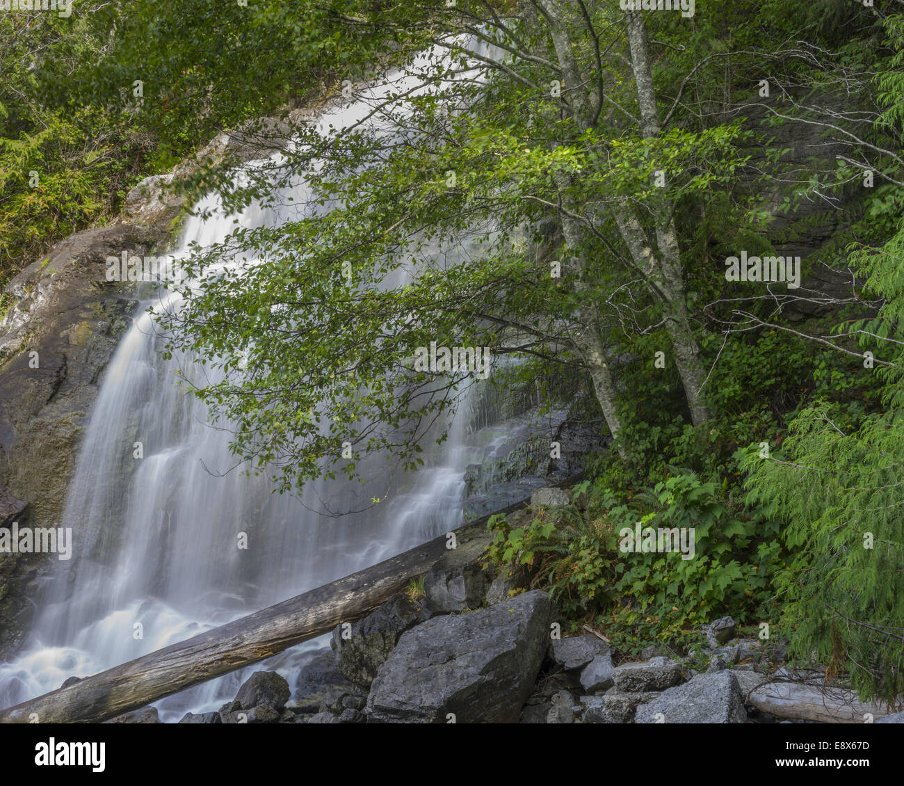 Desolation Sound, British Columbia: Cassel Falls in Teakerne Arm of ...