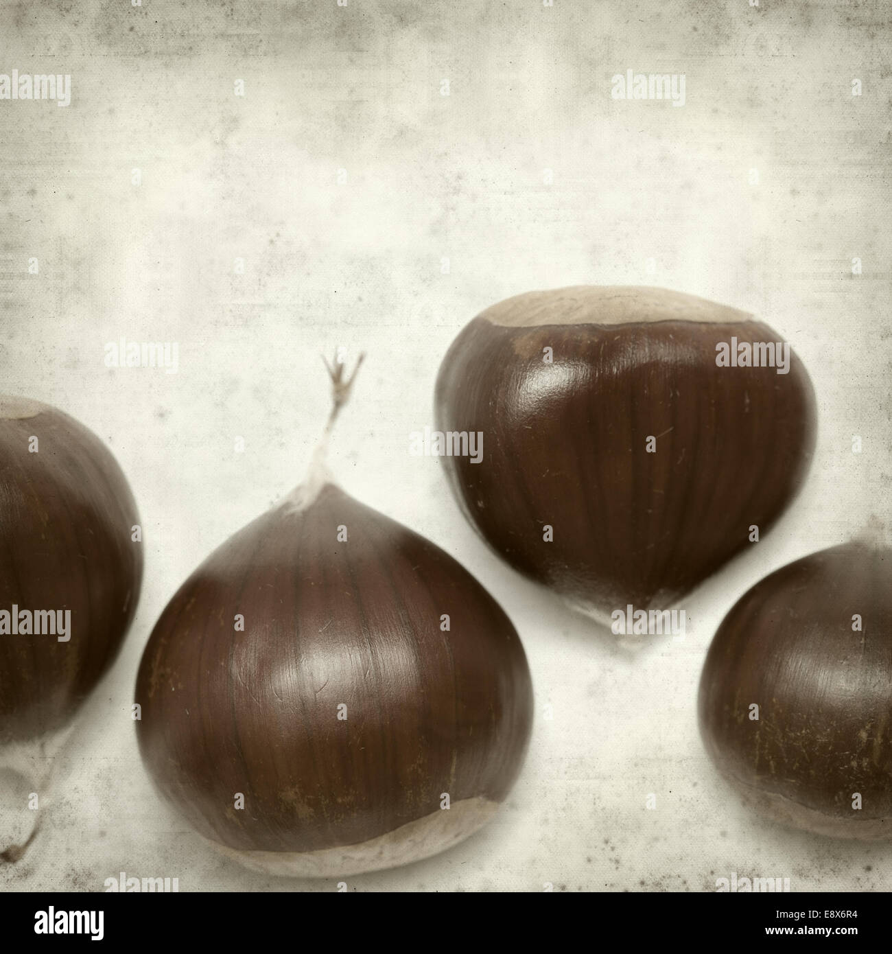 textured old paper background with sweet chestnut Stock Photo - Alamy