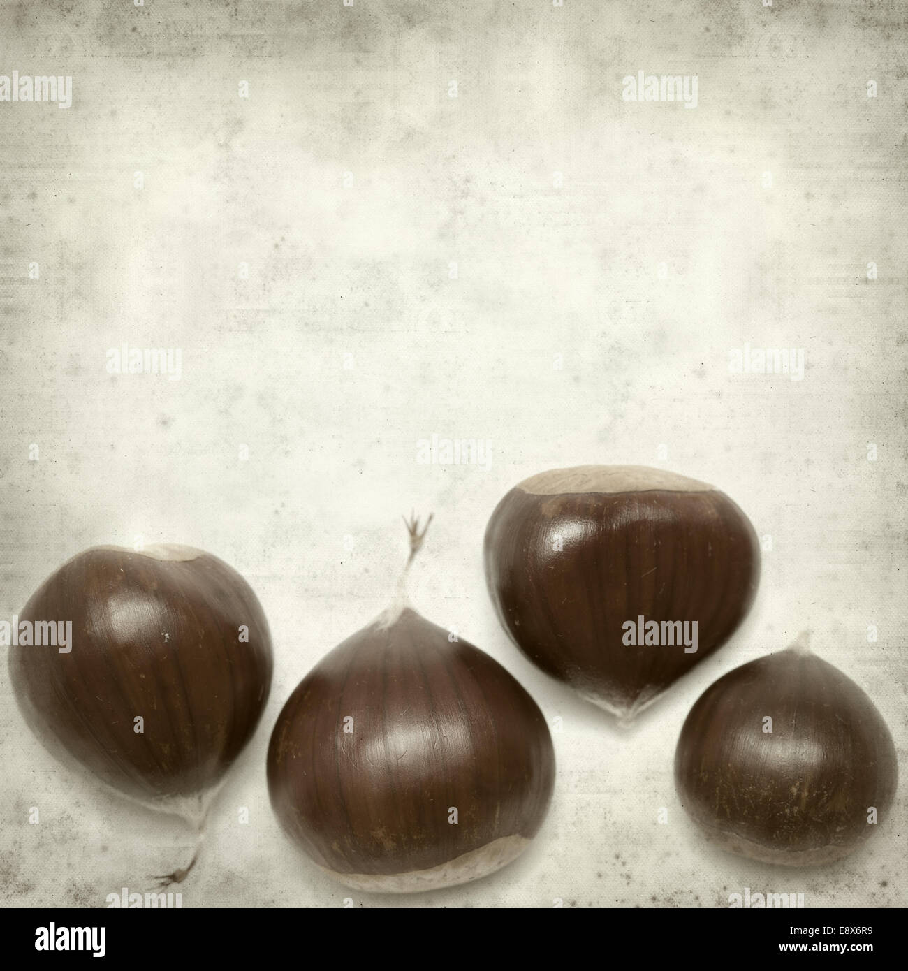 textured old paper background with sweet chestnut Stock Photo - Alamy