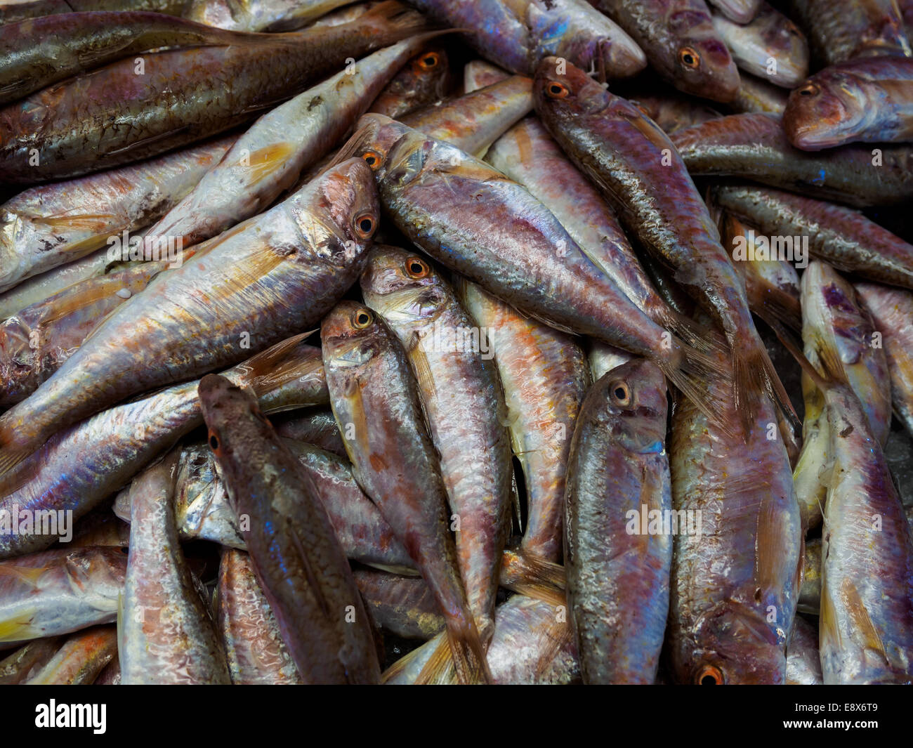 Catch seafood hi-res stock photography and images - Alamy