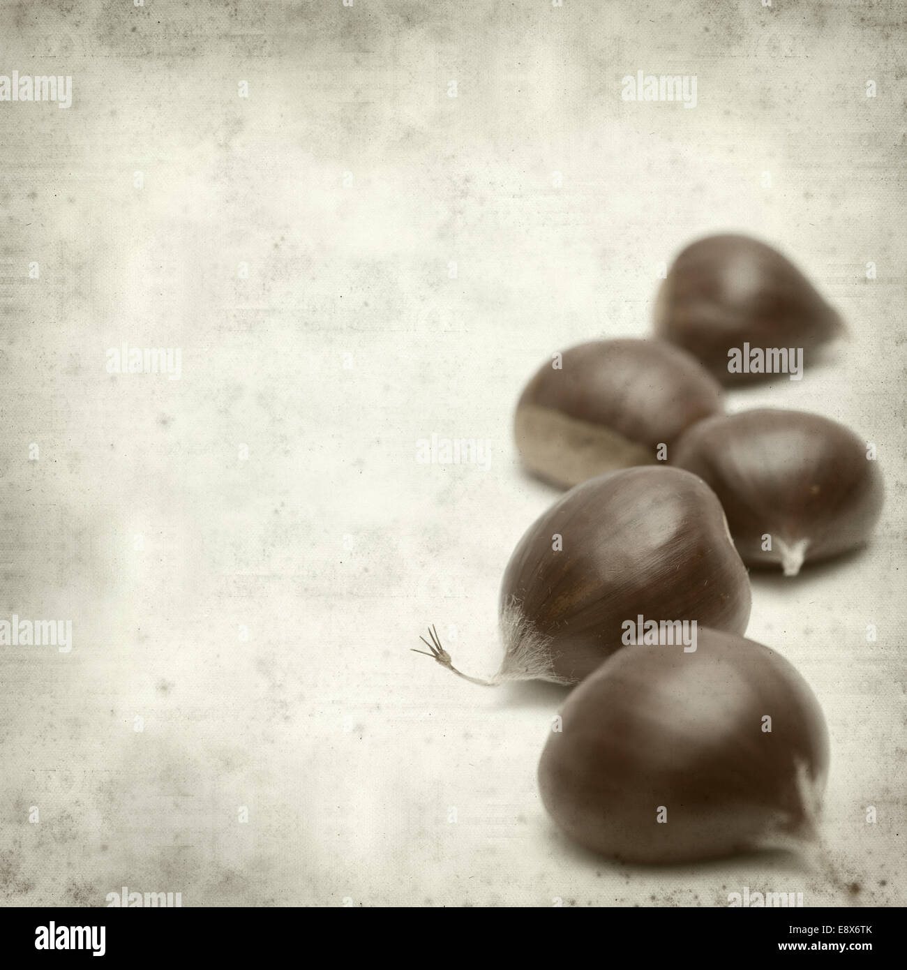 textured old paper background with sweet chestnut Stock Photo - Alamy