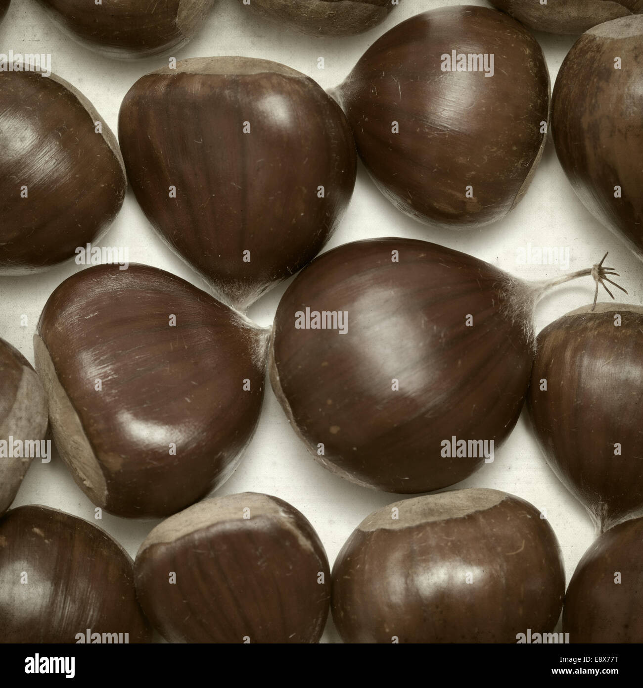 textured old paper background with sweet chestnut Stock Photo - Alamy