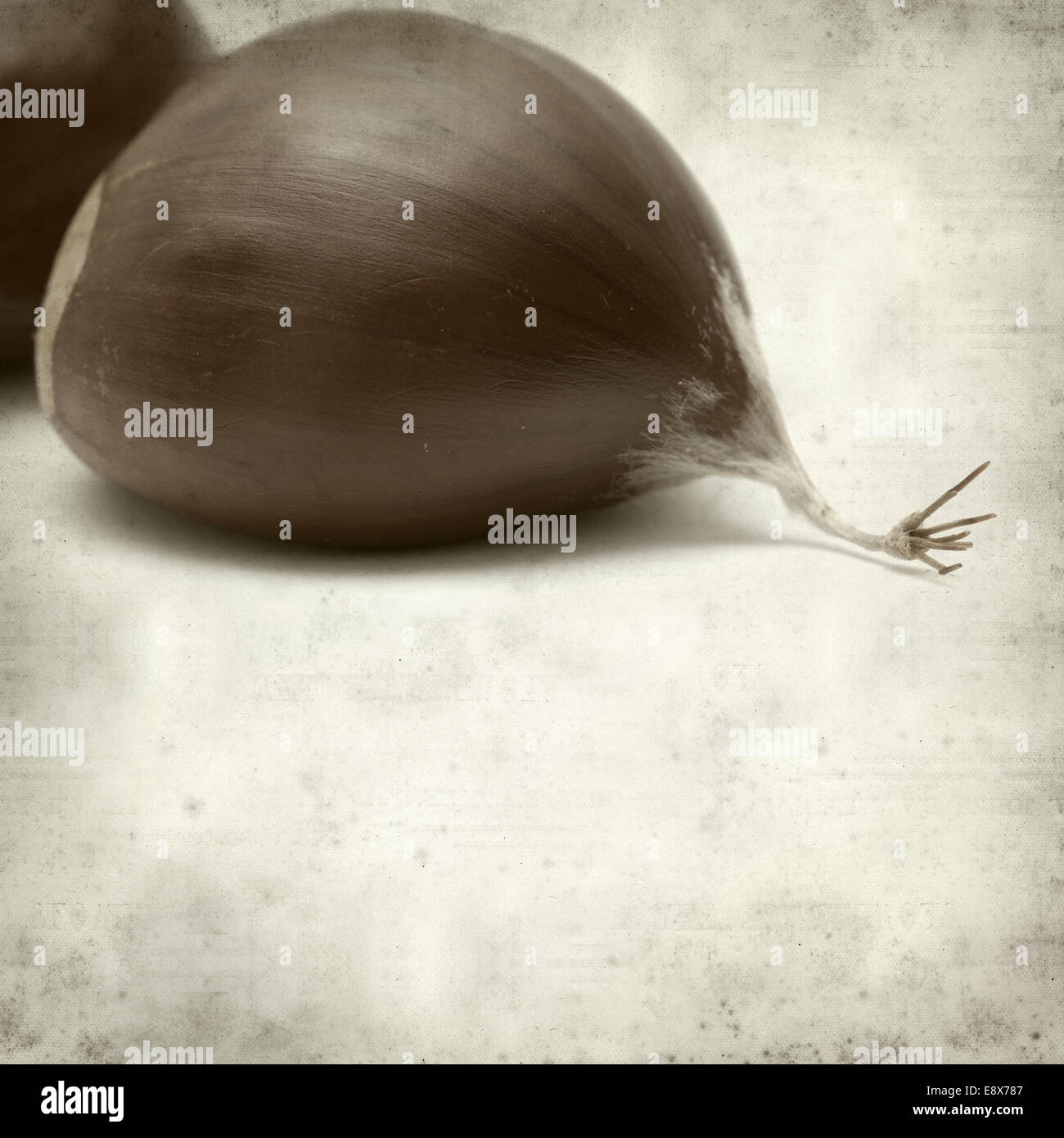 textured old paper background with sweet chestnut Stock Photo - Alamy