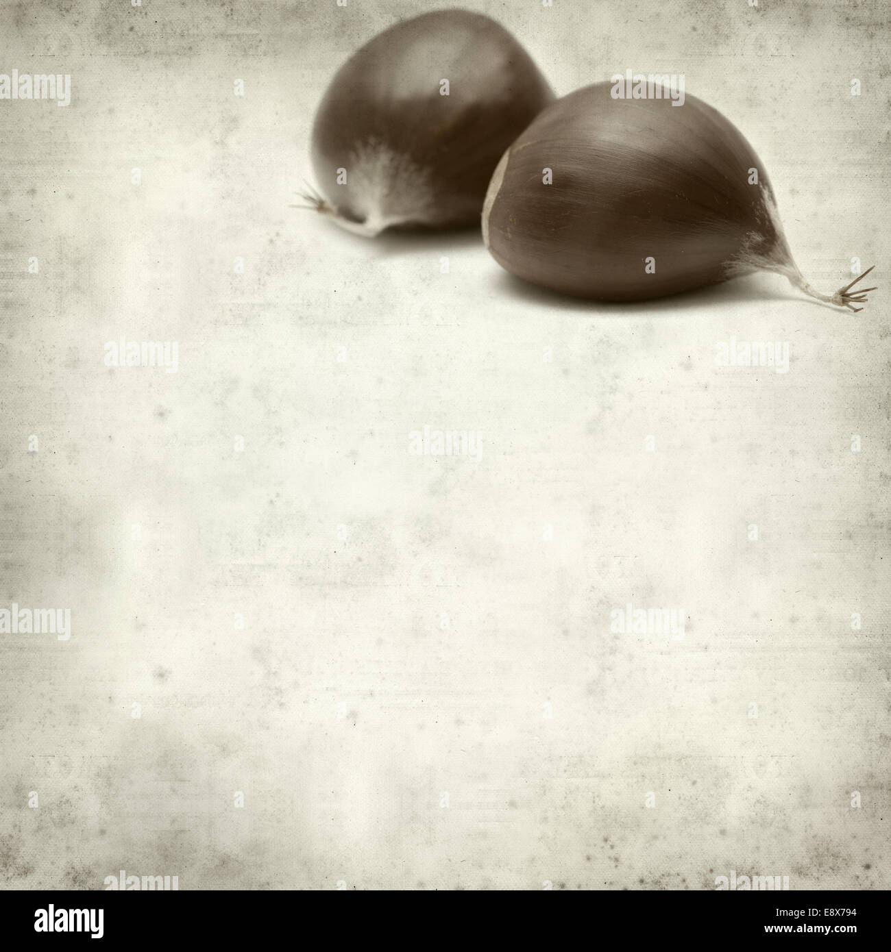 textured old paper background with sweet chestnut Stock Photo - Alamy