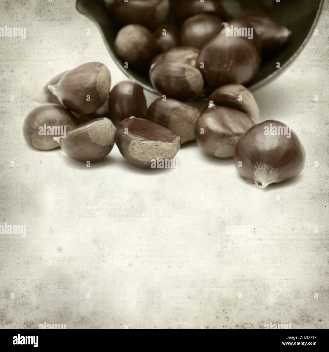 textured old paper background with sweet chestnut Stock Photo - Alamy