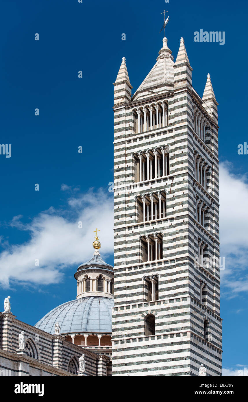 Siena italian renaissance artist hi-res stock photography and images ...