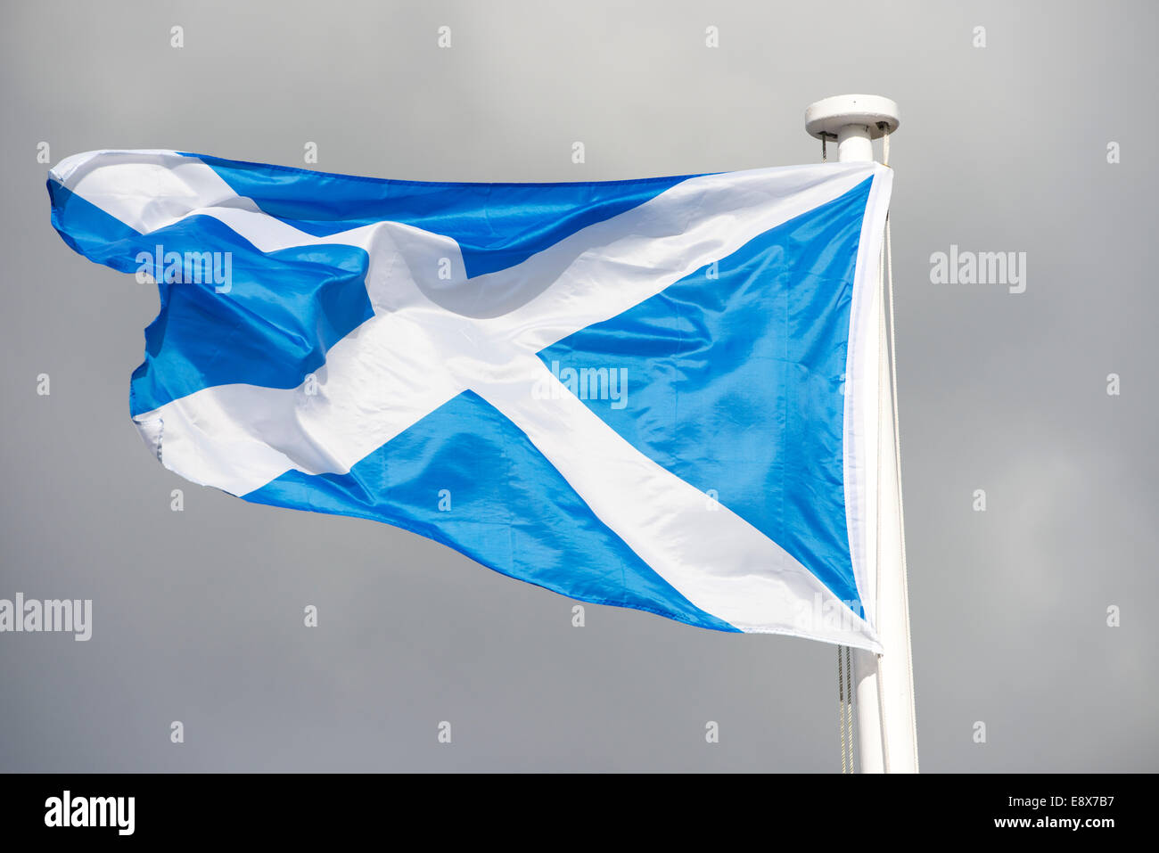 White saltire of st andrew hi-res stock photography and images - Alamy