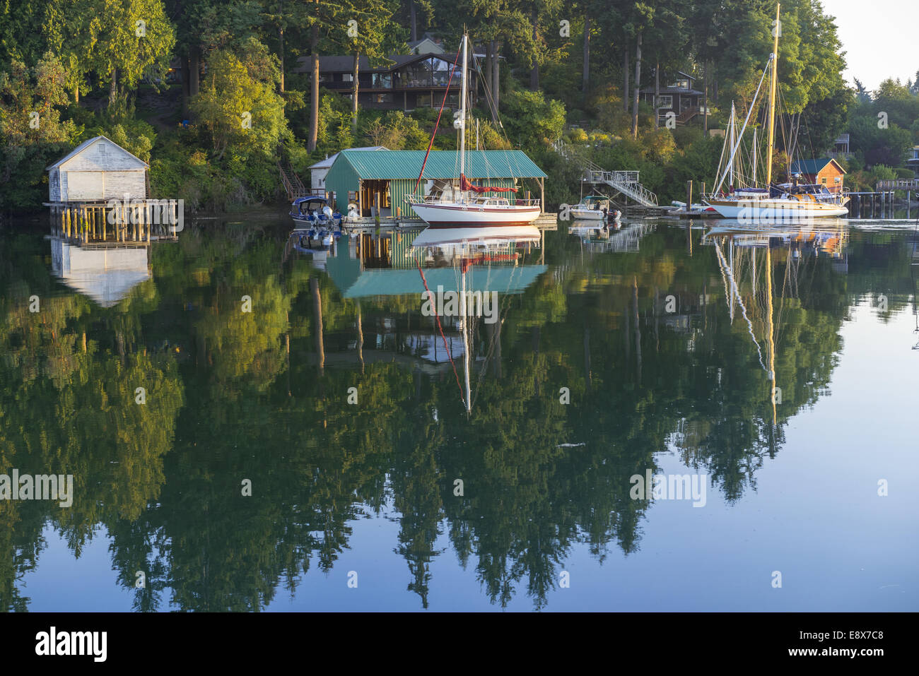 Bainbridge Island; Washington: Morning sun on boats and forested ...