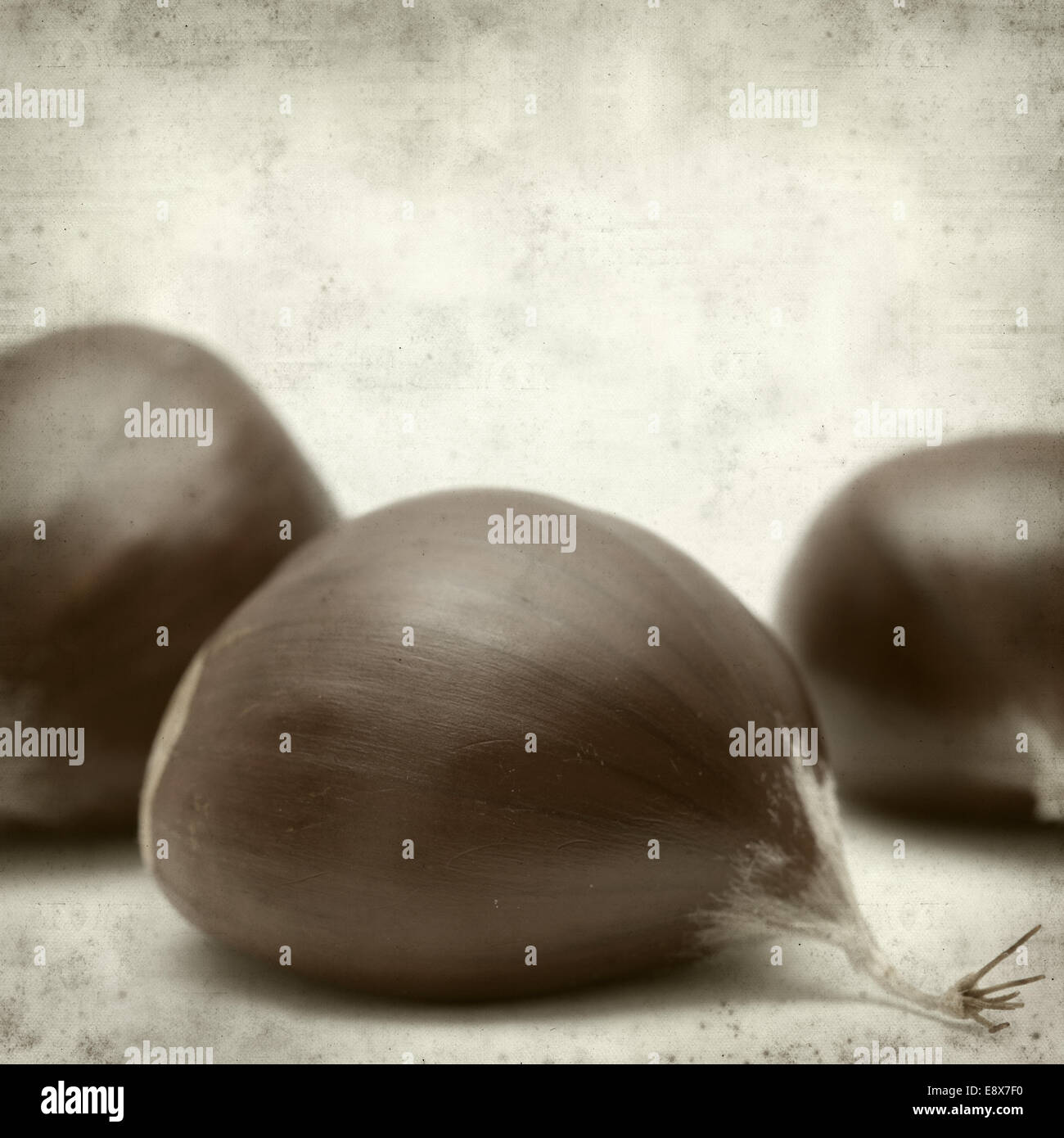 textured old paper background with sweet chestnut Stock Photo - Alamy