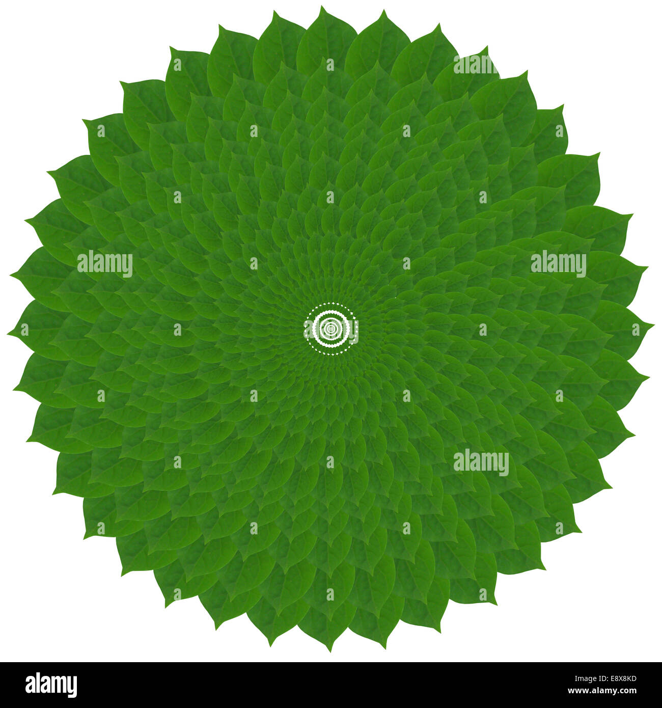 Circle of leaves green hi-res stock photography and images - Alamy