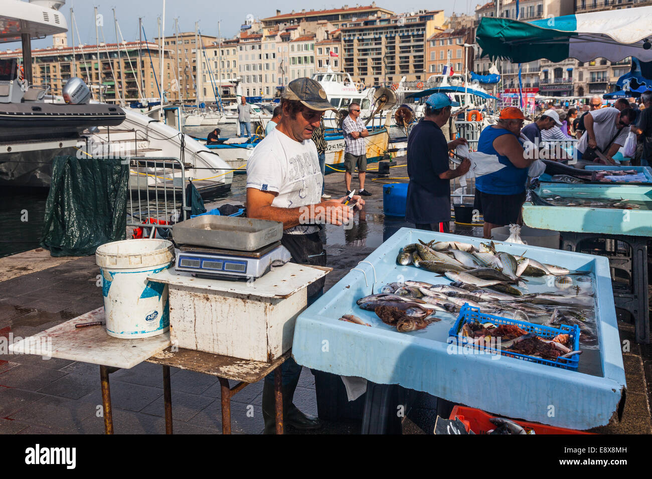 Fishmongers selling their catch at the Marseille fish market in the ...