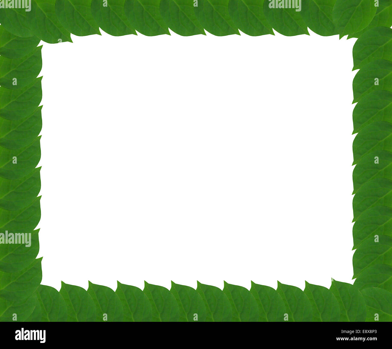 Pattern from green abstract square frame from leaves Stock Photo - Alamy