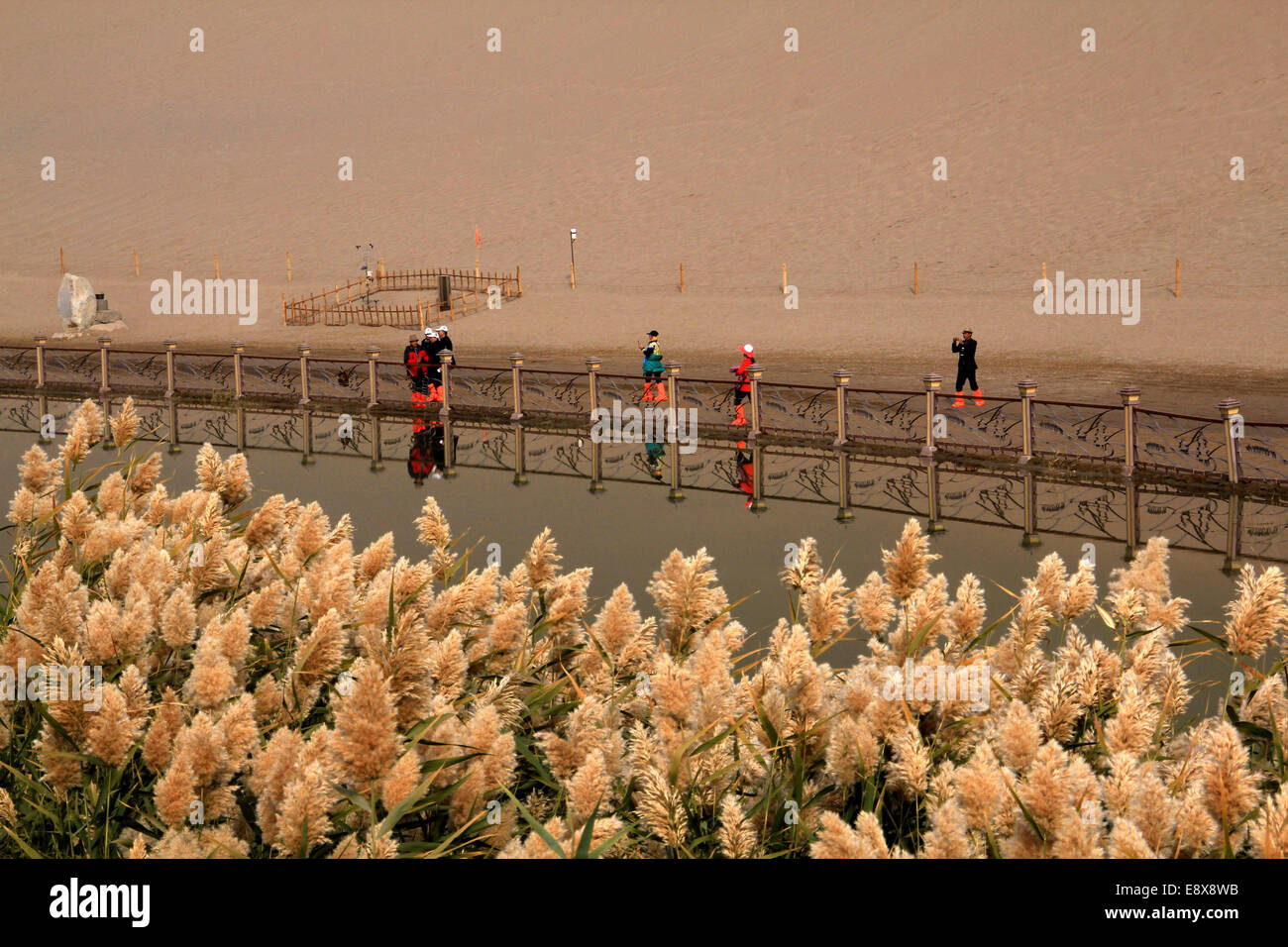 Dunhuang, China's Gansu Province. 15th Oct, 2014. Tourists view the ...