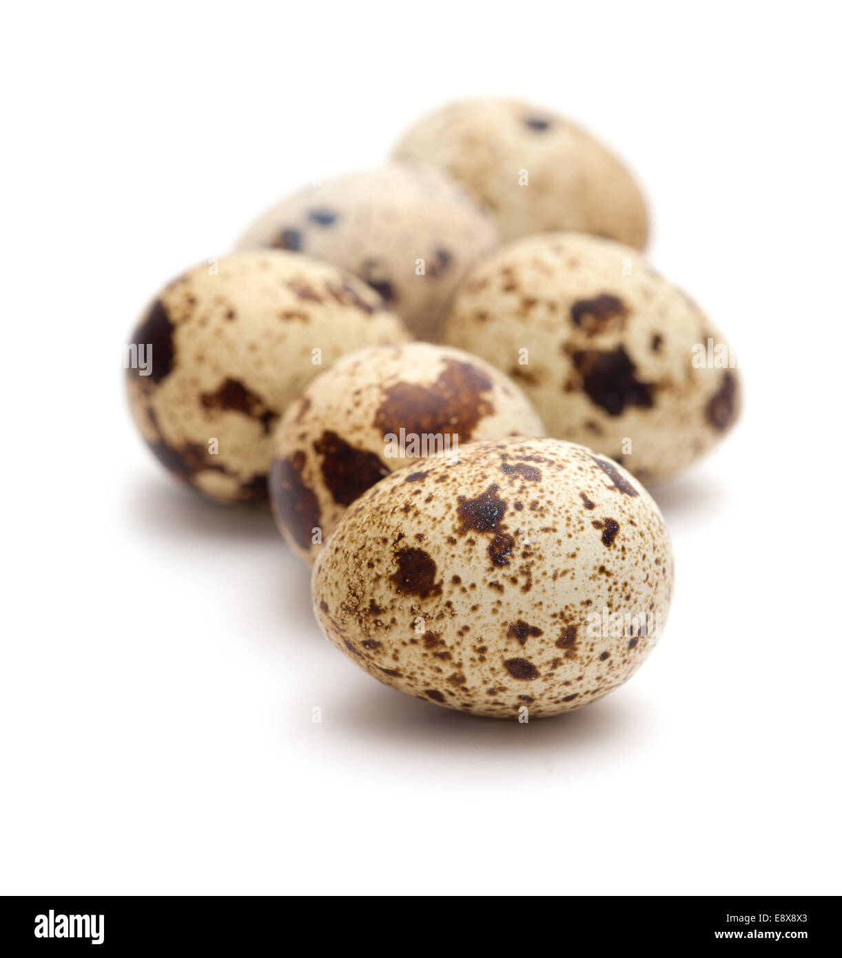 quail eggs isolated on white background Stock Photo - Alamy