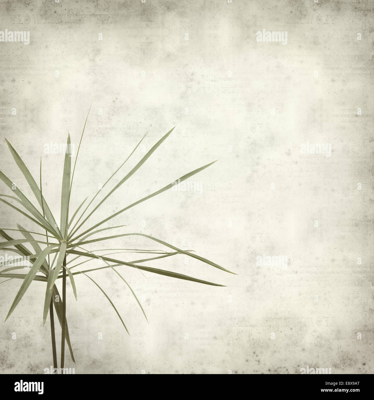 textured old paper background with papyrus Stock Photo - Alamy