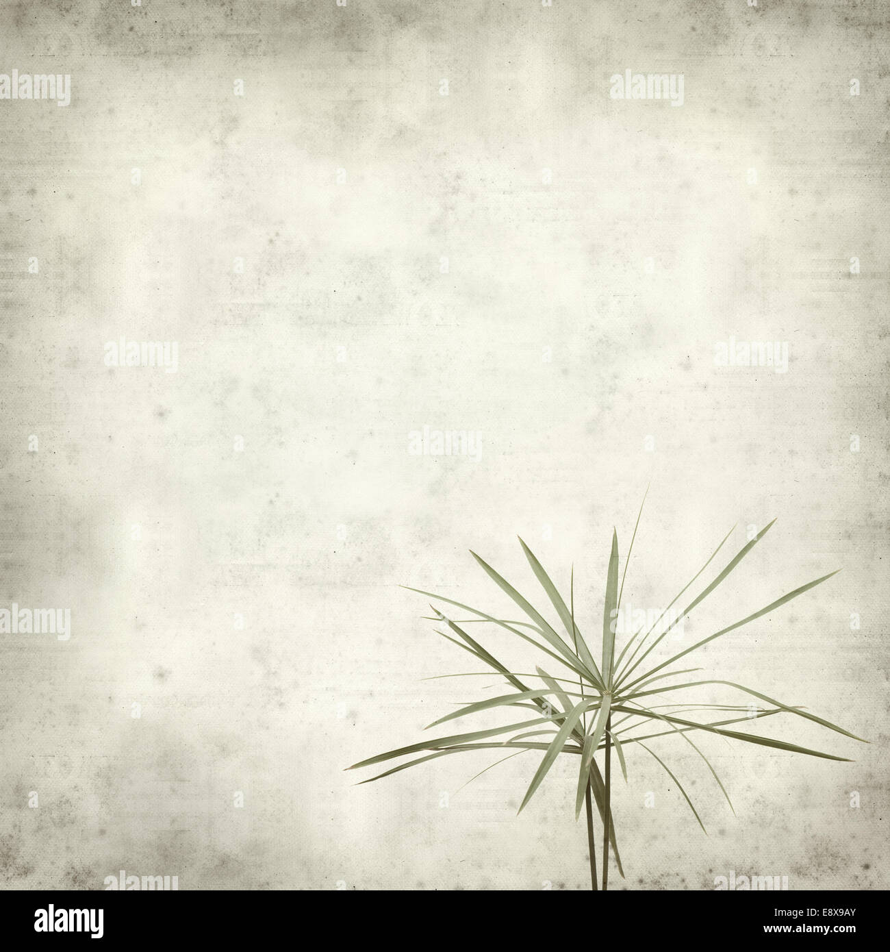 textured old paper background with papyrus Stock Photo - Alamy